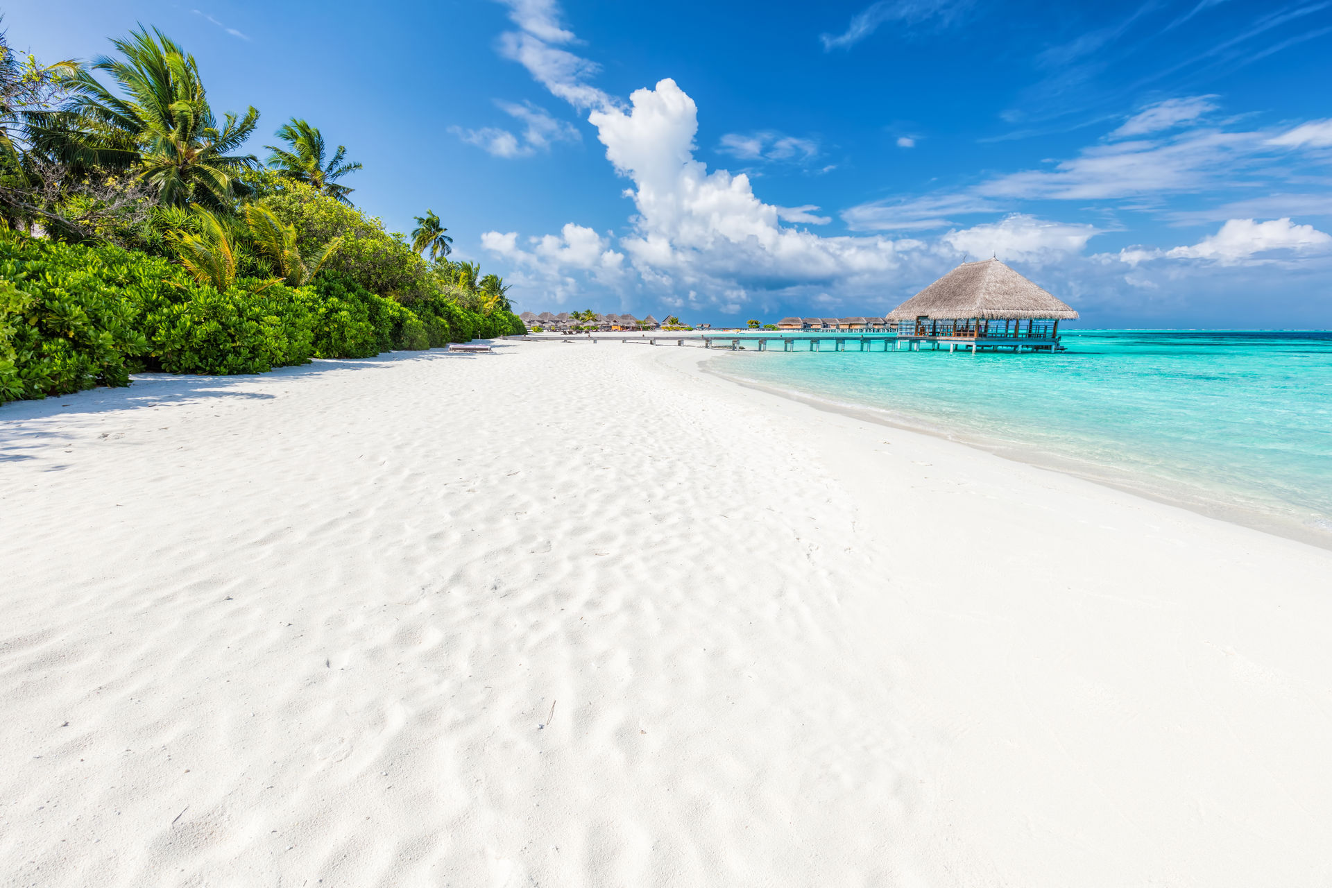 Hyatt Find | Maldives